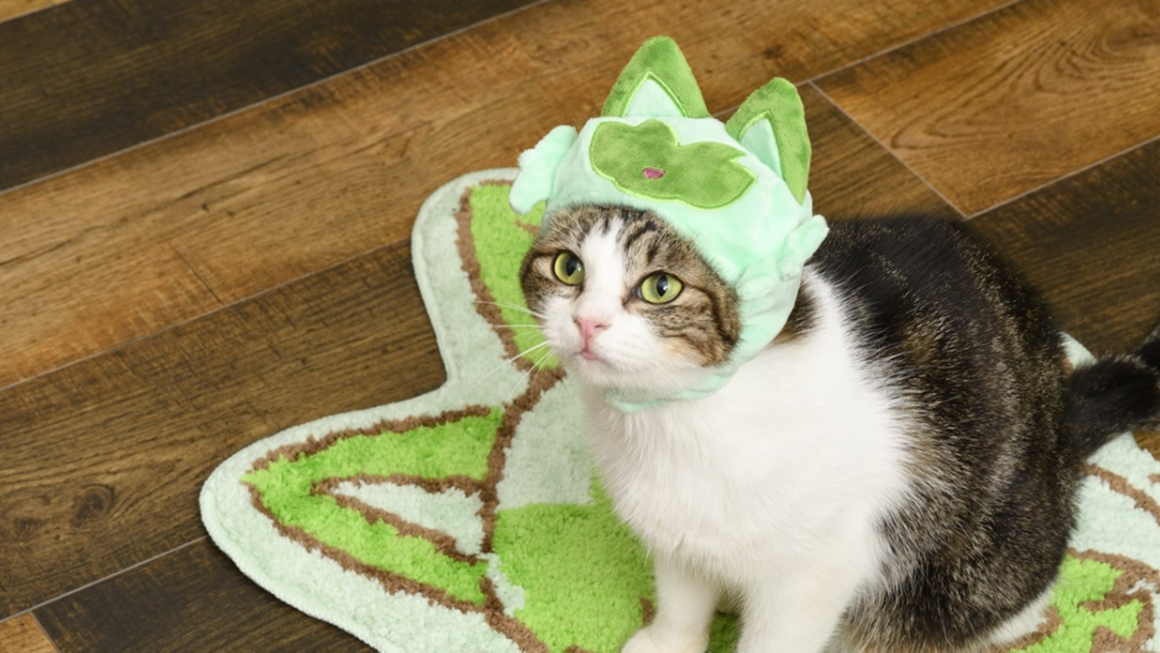 Make Your Cat Sprigatito! Pokémon Merchandise for Cats Announced ...